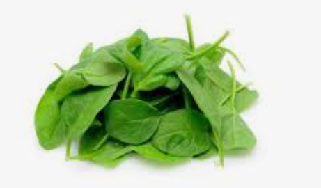 SPINACH BABY - KG POUSSE EPINARD - KG | Froggy Gourmet
